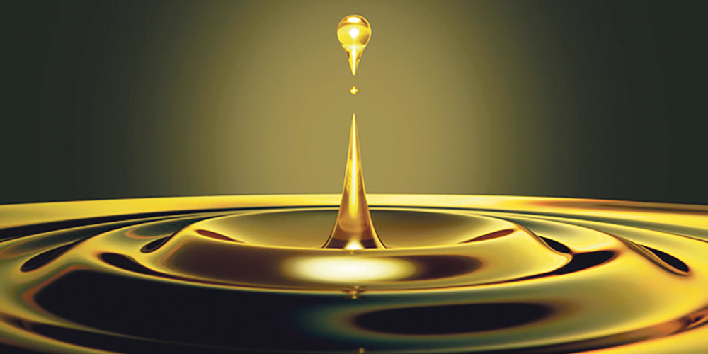 Auf die richtige Fett`n kommt es an: Unterkärntner Nachrichten